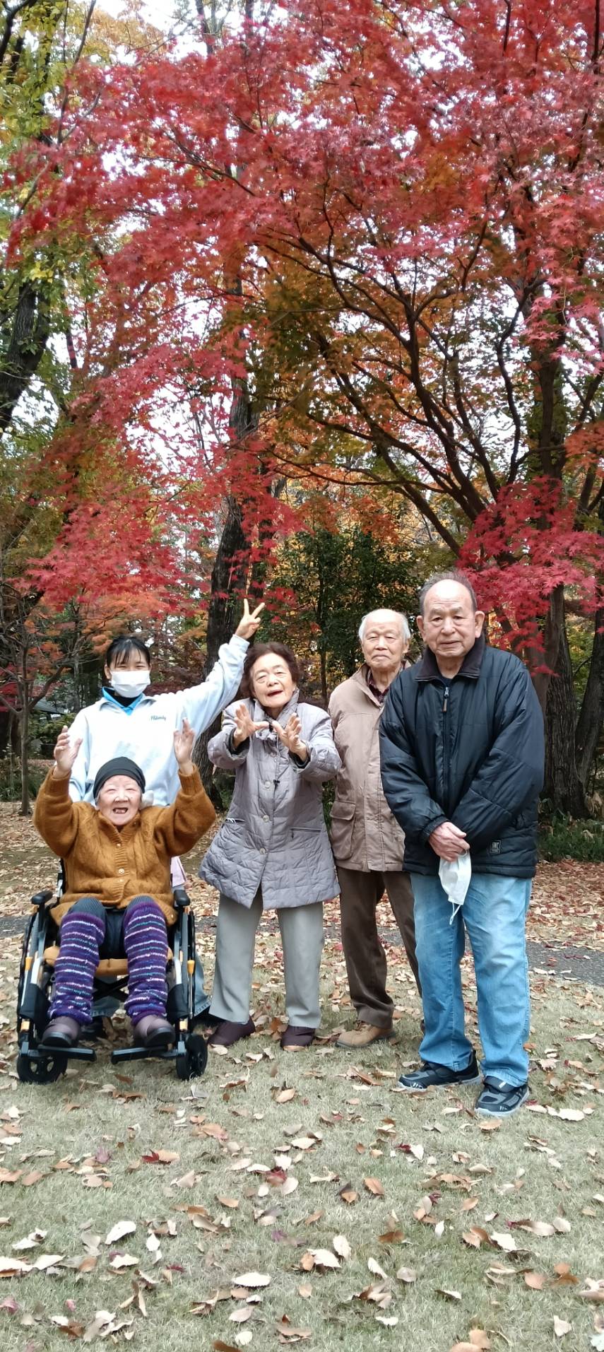 R7.11 🍁秋の紅葉🍁めぐり Part.1 | ウェルエージング株式会社